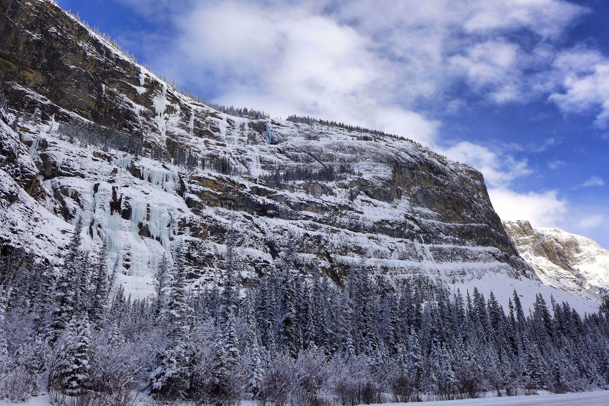 Weeping Wall from Jasper Highway. November '12.