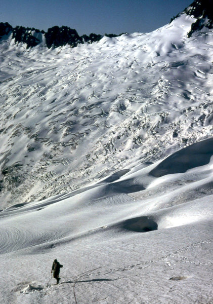Boston Glacier on the approach to the North Ridge