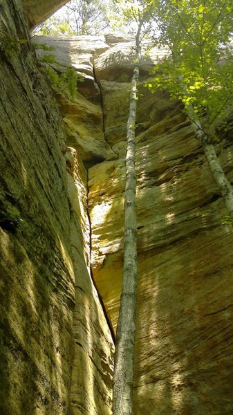 Rock Climb Sylvester McMonkey McBean (aka Snitches), Red River Gorge