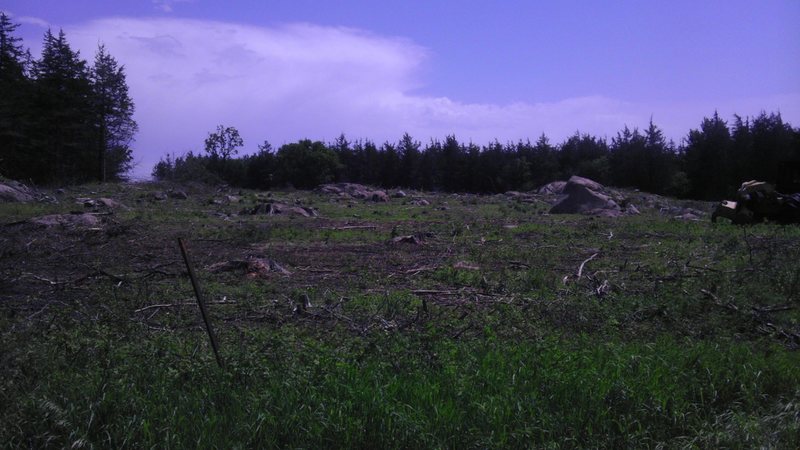 Climbing in Swede's Forest Boulders, Swede's Forest Boulders