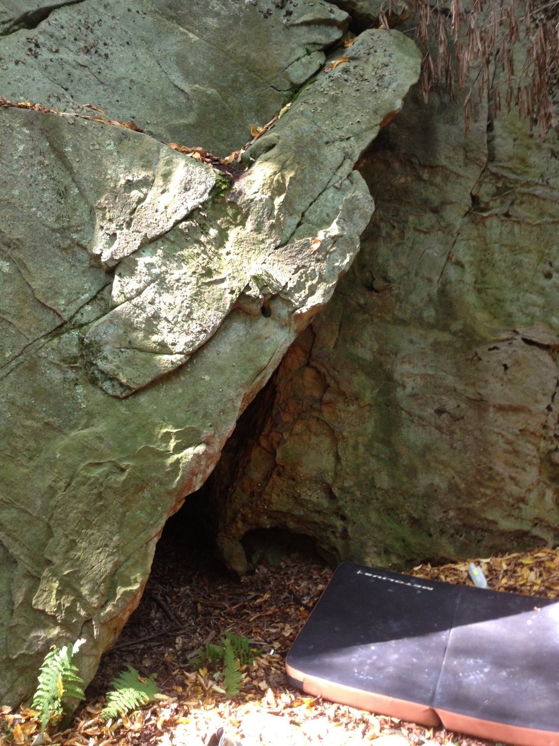 Wood Booger! Notice the green color of the rock.