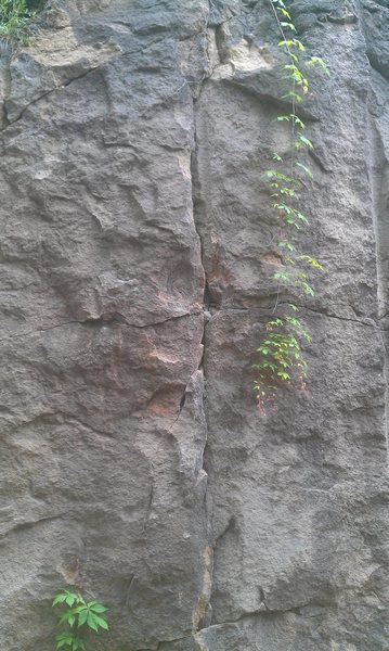 Climb Split Seam, Unlikely Wall