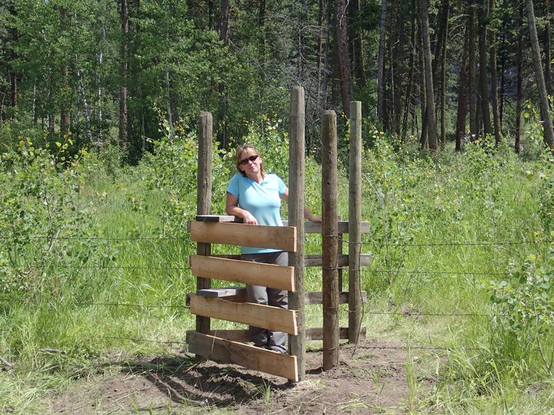 Newly installed front gate, pass-through (parking just across the road)