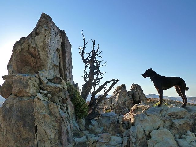 Rock Climbing in Juniper Flats Area, San Bernardino Mountains