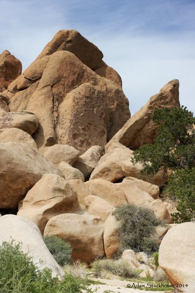 Rock Climbing in Pitted Rock, Joshua Tree National Park