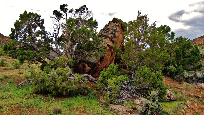 Bouldering in Aboulia Rock, Grand Junction Area