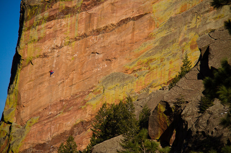 Rock Climb Snake Watching, Flatirons