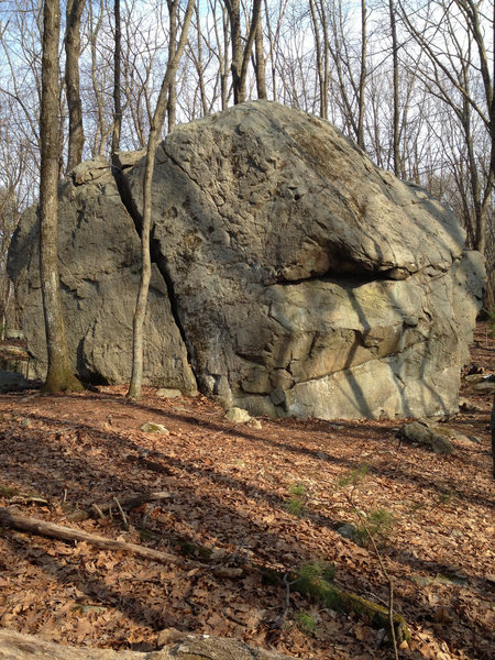 Climb Spider Hut, North Shore