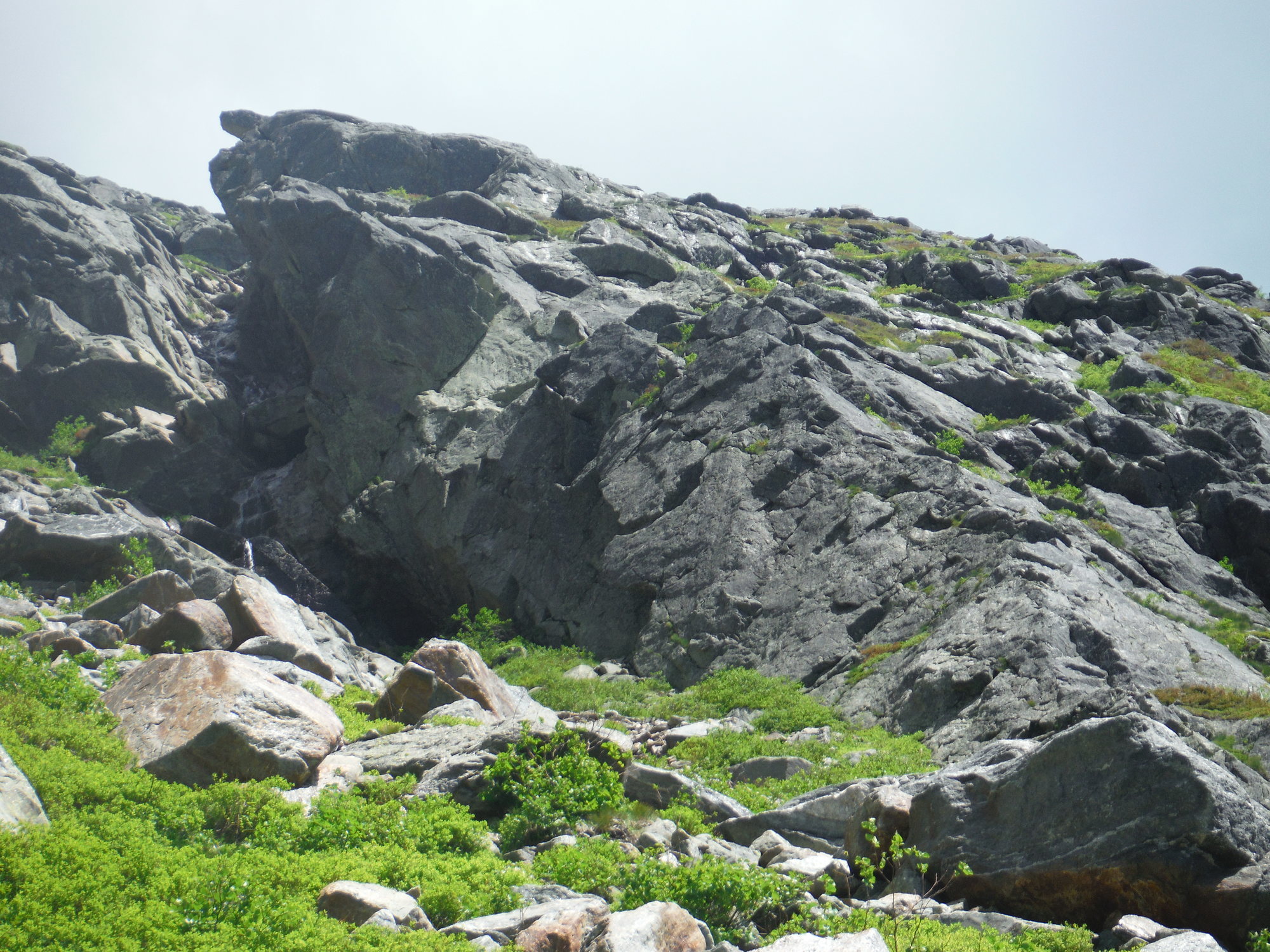 Lower portion of Henderson Ridge - Diving Board visible top left...