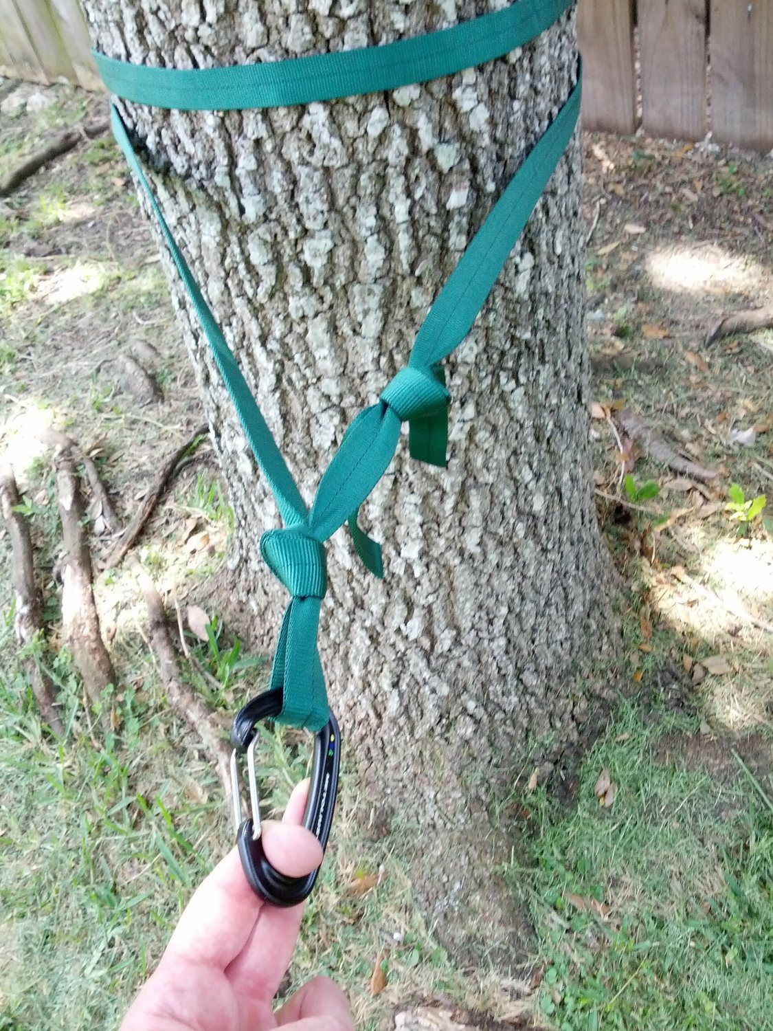 Webbing wrapped around tree twice and ends connected with water knot ...
