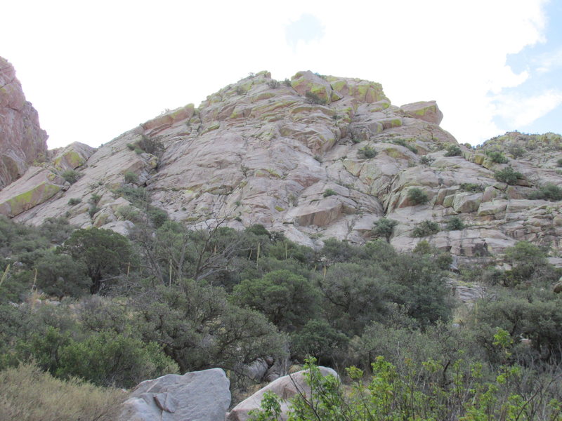 Rock Climbing in Rabbit Ears Slabs, Organ Mountains