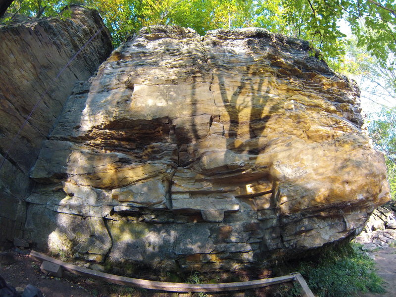 Rock Climb Brachiator, Lower Peninsula