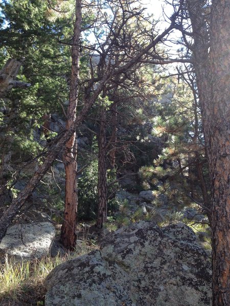 Rock Climbing in Canyon Block, Boulder Canyon