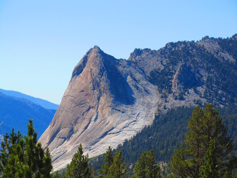 View of Charlotte Dome.