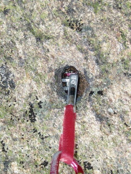 "X" to "R" Placement on the Littoral Zone's P1...a TriCam is better and ...