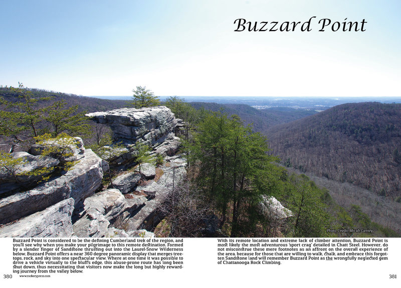 Buzzard Point Free Day Guide