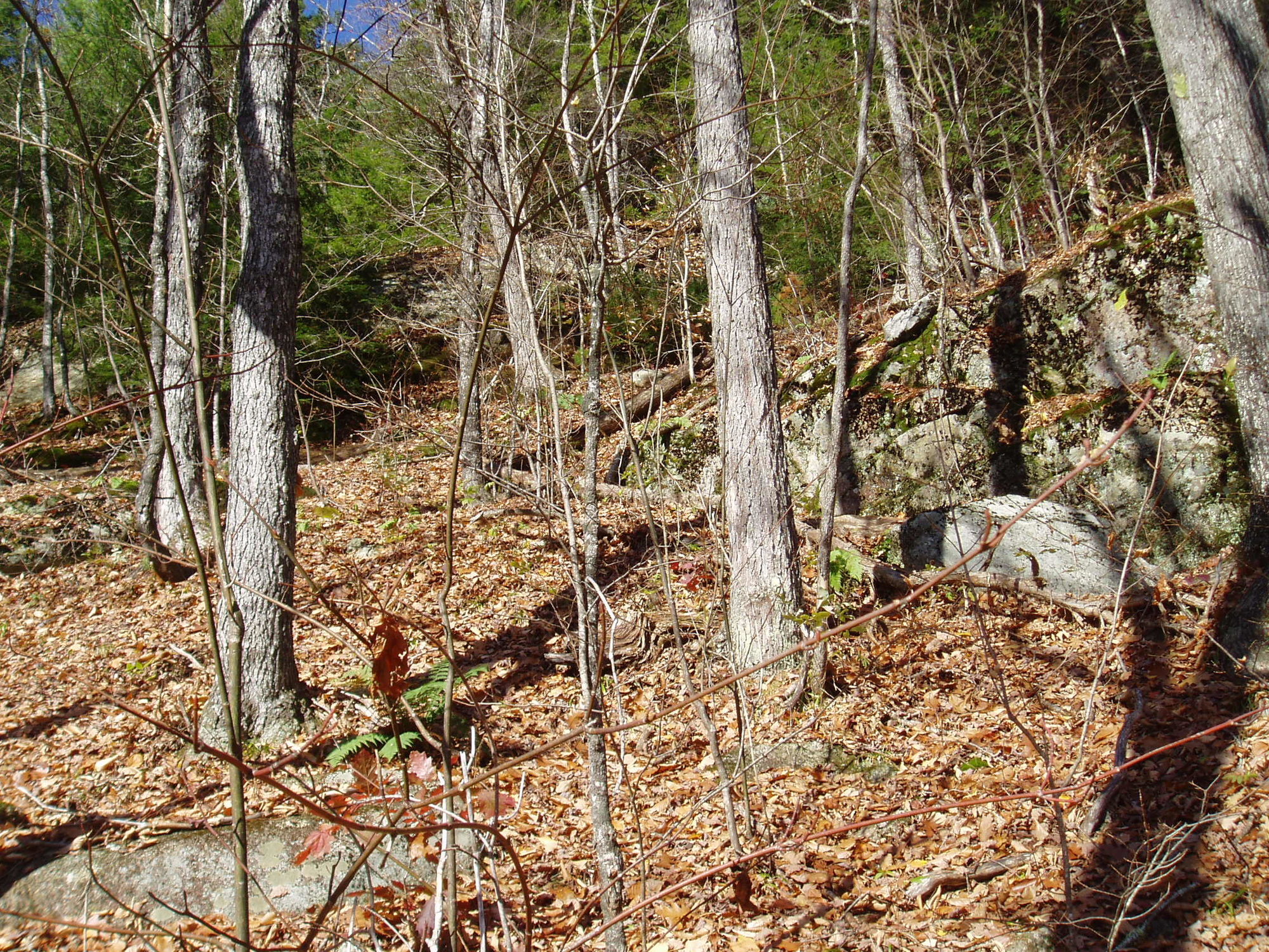 If approaching LEFT-side directly from fire road, this is GOOD -The ...