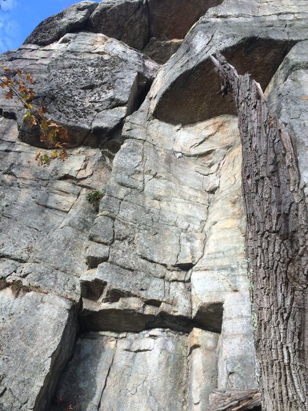 boston tree party goes up the dihedral on the right. daytripper goes up ...