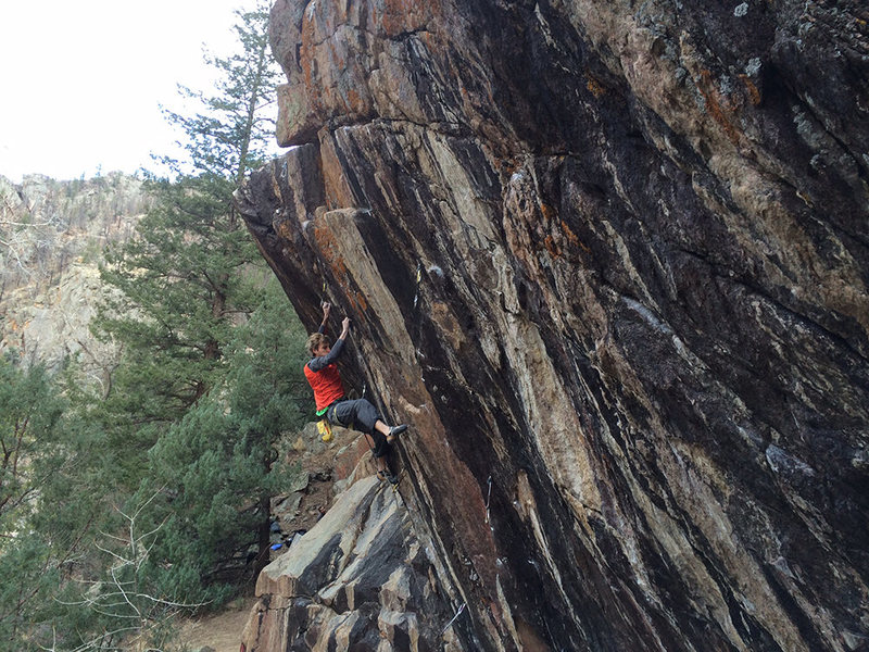 Rock Climb Kona Blend, Fort Collins