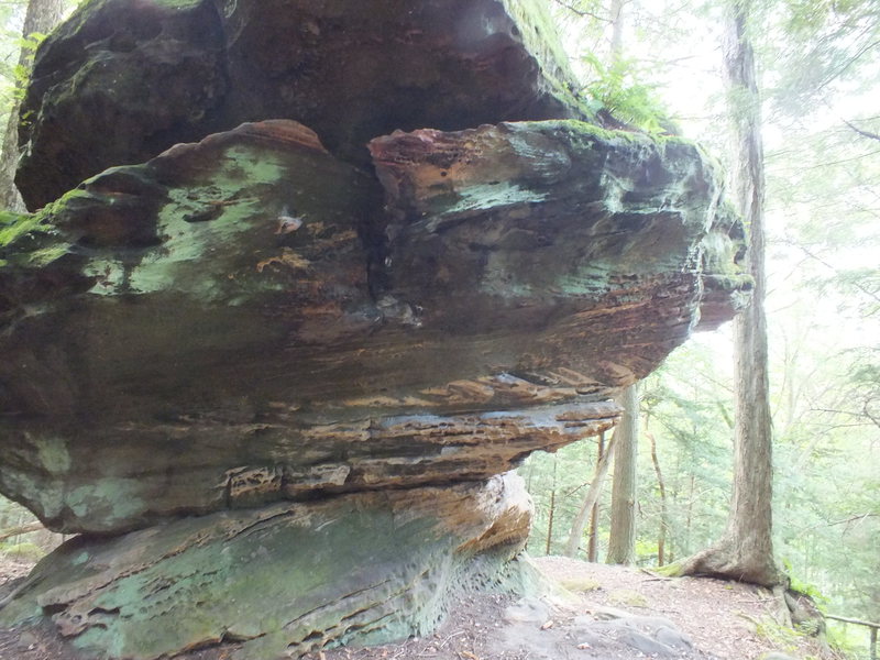 Climb Evolution Center, Southeast Ohio