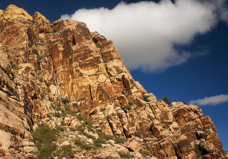 Rock Climb Idiocy of an Odyssey, Red Rocks