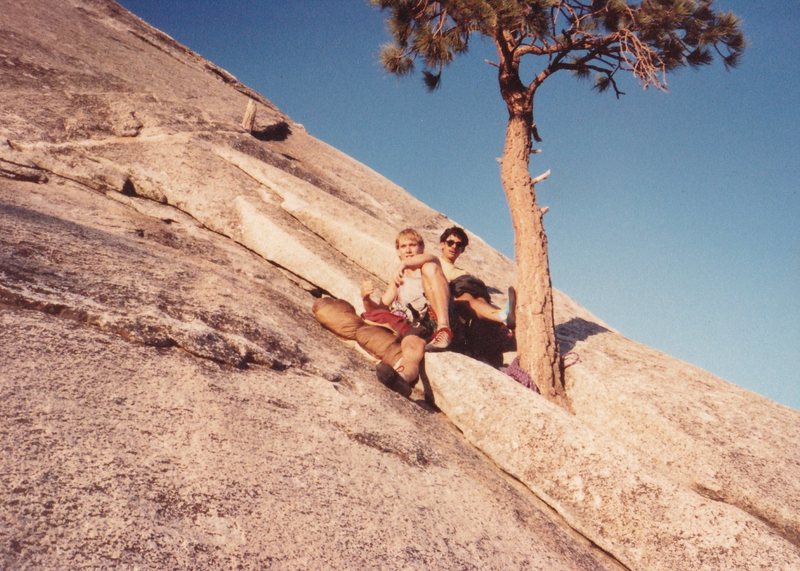 The Tree: starting point for Snake Dike