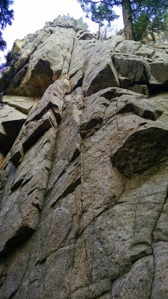 Rock Climb Weeds, Boulder Canyon