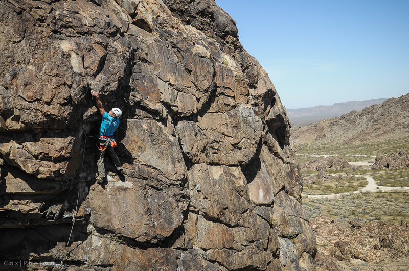 Dave Darnell on Hero Worship. Steve Cox photo.