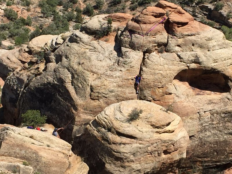 Rock Climb Caaarl Llama, Grand Junction Area