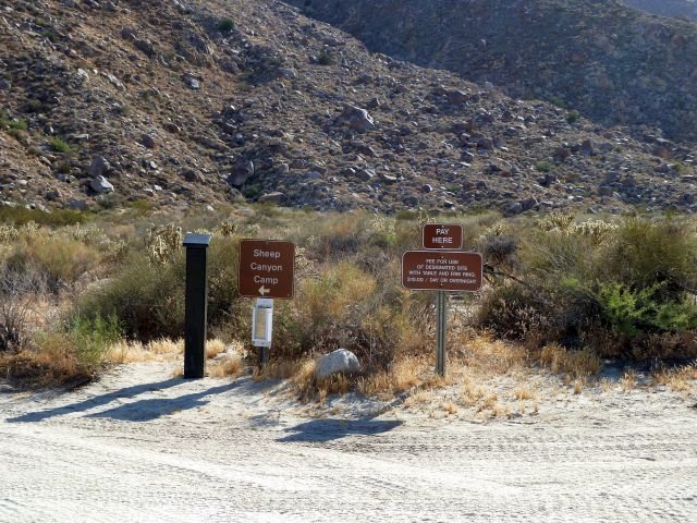 Sheep Canyon Camp, Anza Borrego SP