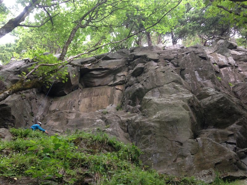 Rock Climbing in Maple Tree Cluster, South-West & Tacoma