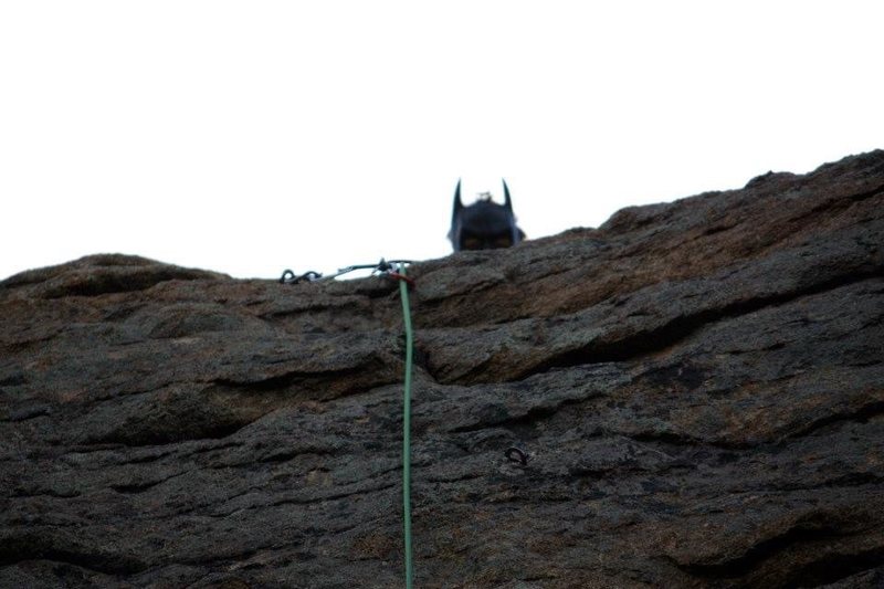 The Dark Knight in Jurassic Park.