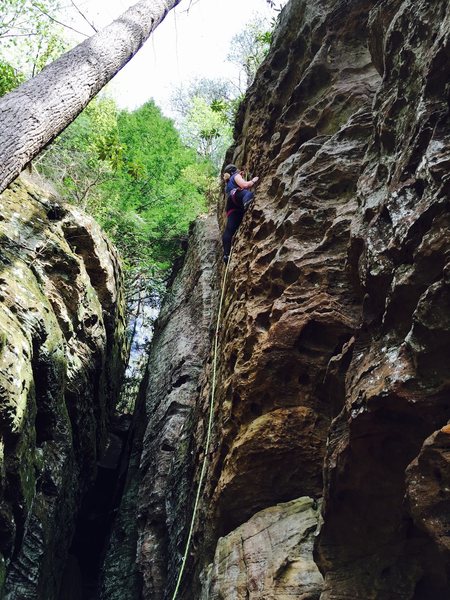 Muir Valley, Red River Gorge