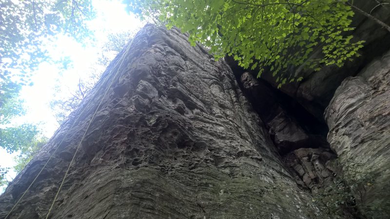 Rock Climb Charlie and the Choss Factory, 3. Piedmont Region