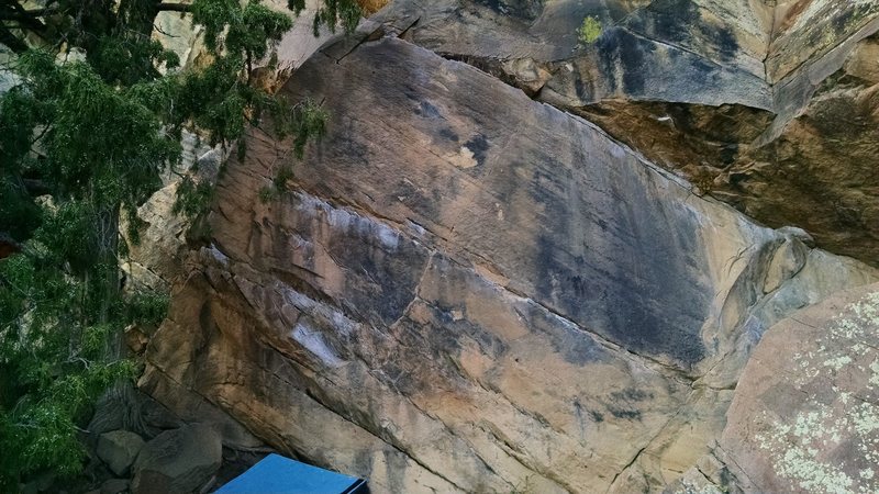 Bouldering in Tree Slab, Morrison/Evergreen/Littleton
