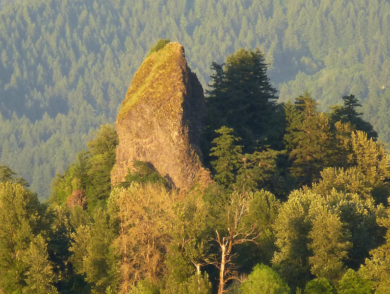 Rock Climbing in Rooster Rock, Portland & The Gorge