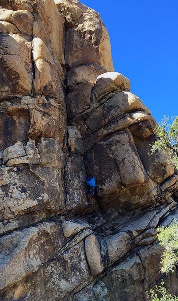 Rock Climbing in Rich And Famous Cliff, Joshua Tree National Park