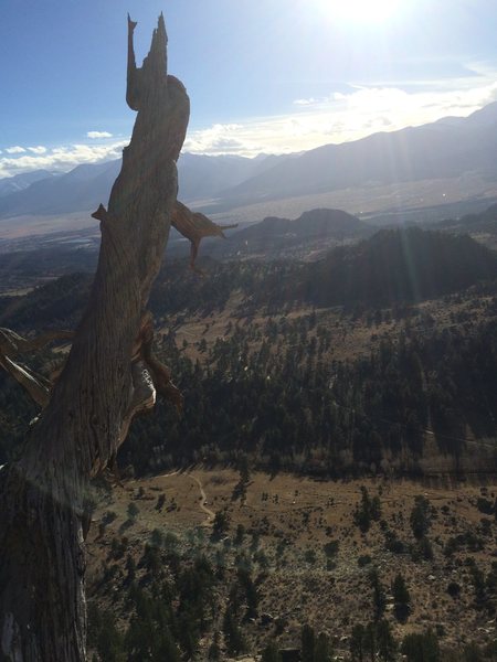 View from the dead tree belay!
