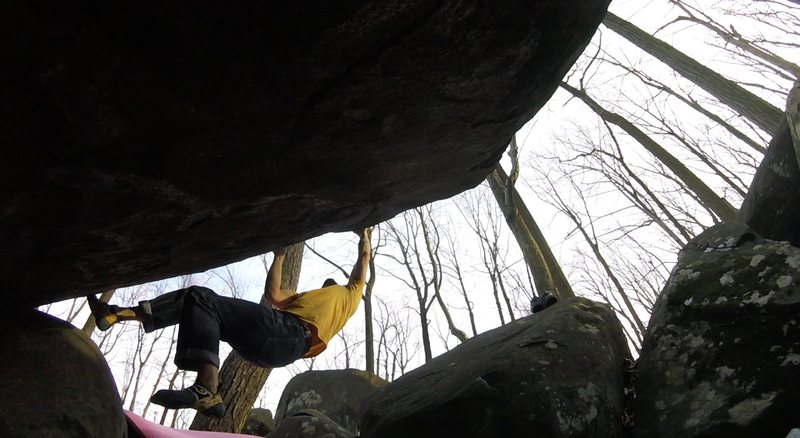 Bouldering in Top Rock/Caves Trail Split, Southeastern Lowlands