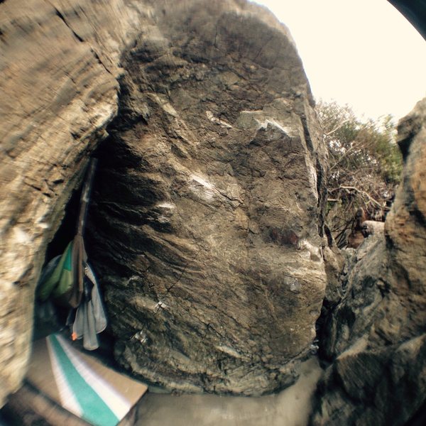 Climb Milk Can, Redwood Coast