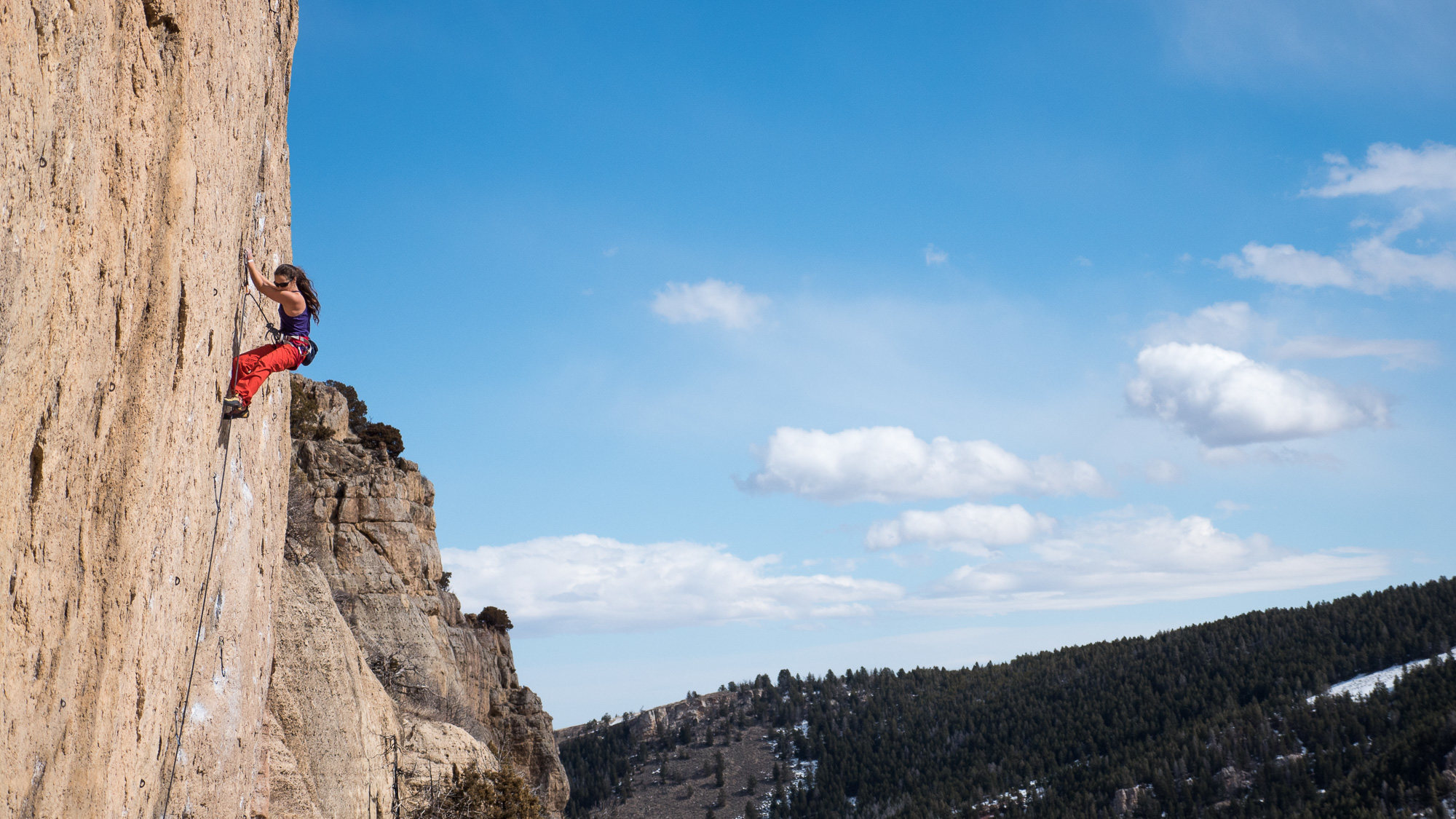 Alana Benson on Shades