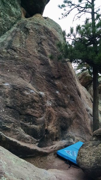 Bouldering in Tree Slab, Boulder