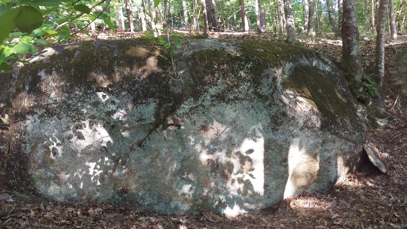 Climbing in Gumball Boulder, Rocky Creek Bouldering