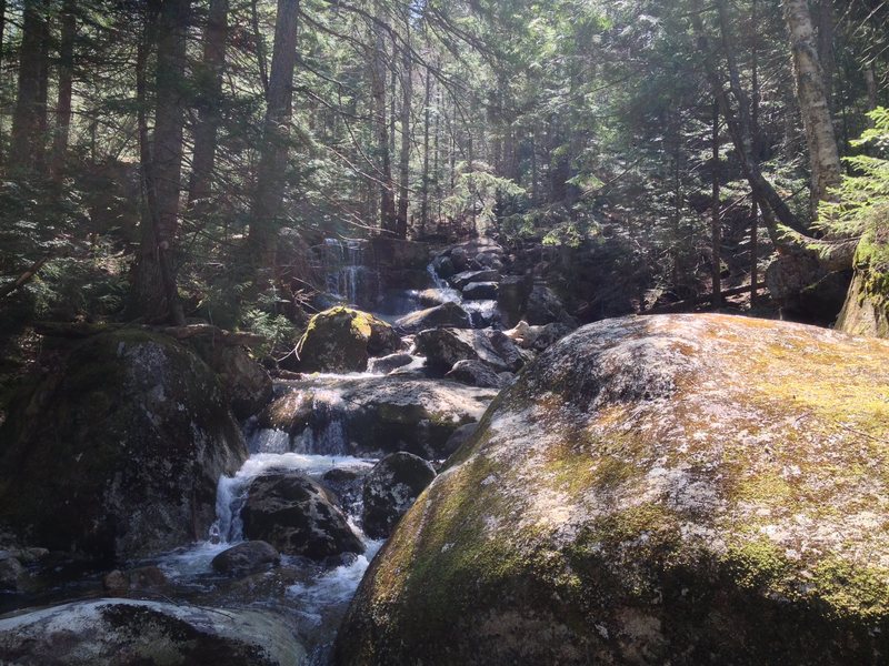 Rock Climbing in Crawford Cliff, WM: Crawford Notch