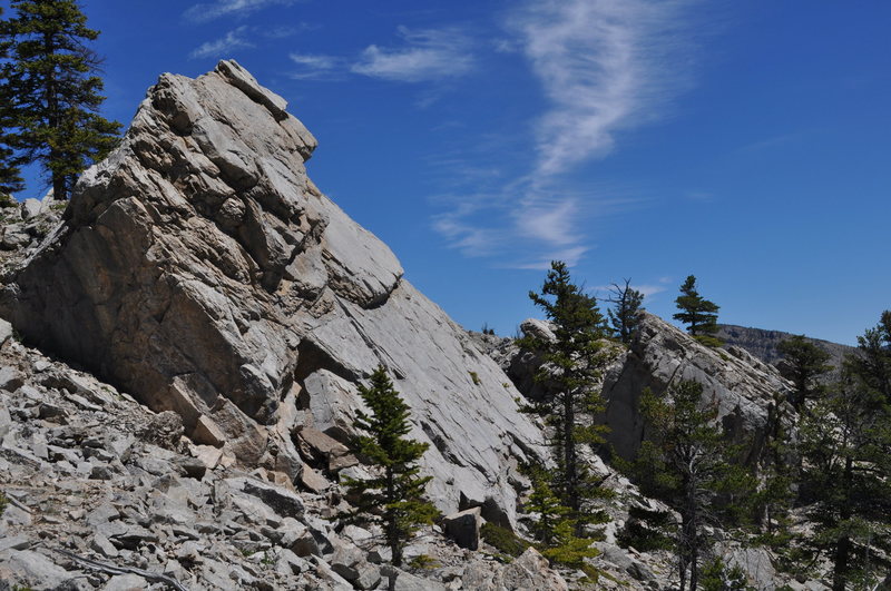 Nice slab limestone boulder.