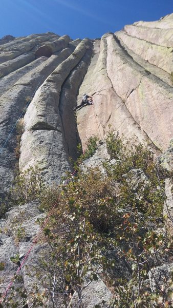 Bill lugg getting that stem on double indemnity. Bon homme can be seen ...