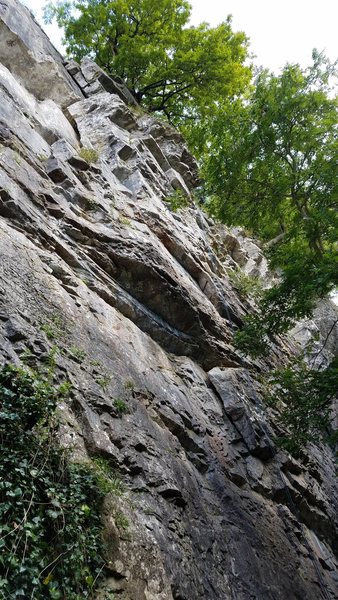 Rock Climbing in Goblin Combe, United Kingdom