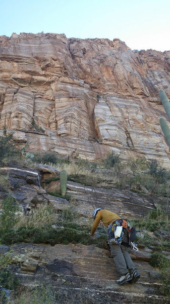 sonoran alpine choss