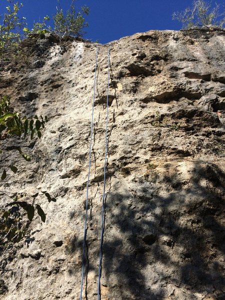 Rock Climb Light Buzzyear, Austin Area