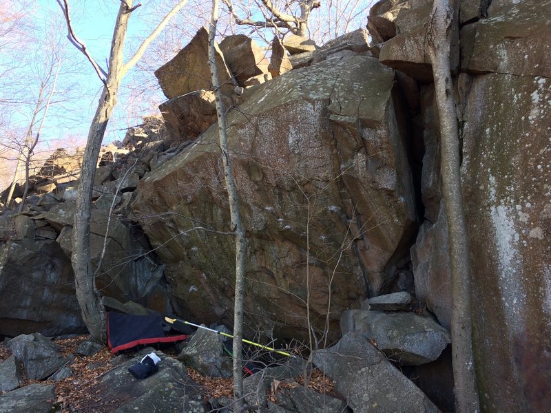 One of the best traprock boulders I've seen in CT.